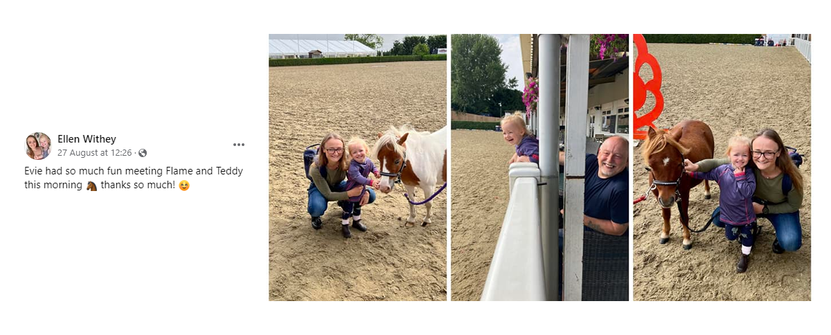 Keysoe Cuddle – Therapy Ponies