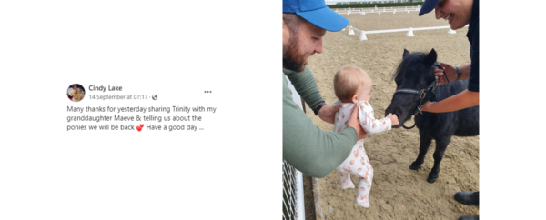 Keysoe Cuddle – Therapy Ponies