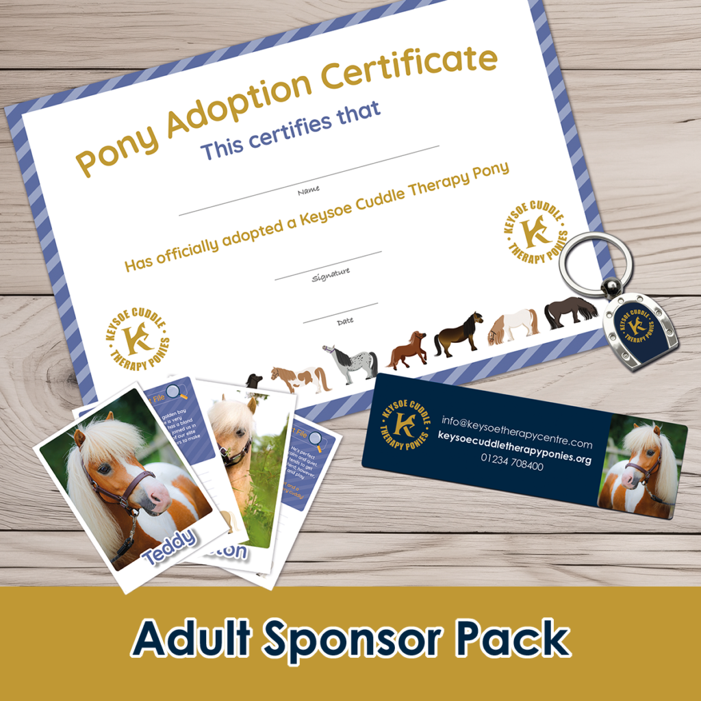 Sponsor a Pony + Adult Sponsor Pack – Keysoe Cuddle