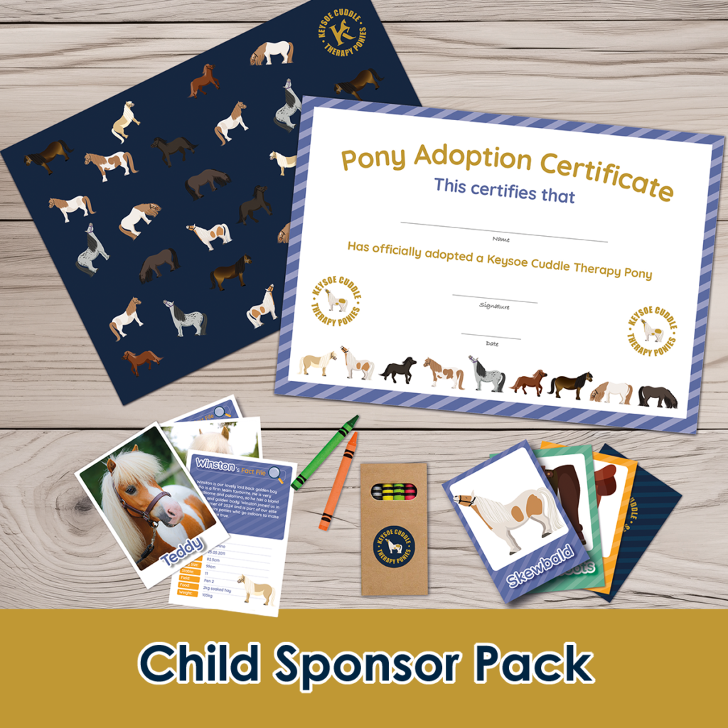 Sponsor a Pony + Child Sponsor Pack – Keysoe Cuddle