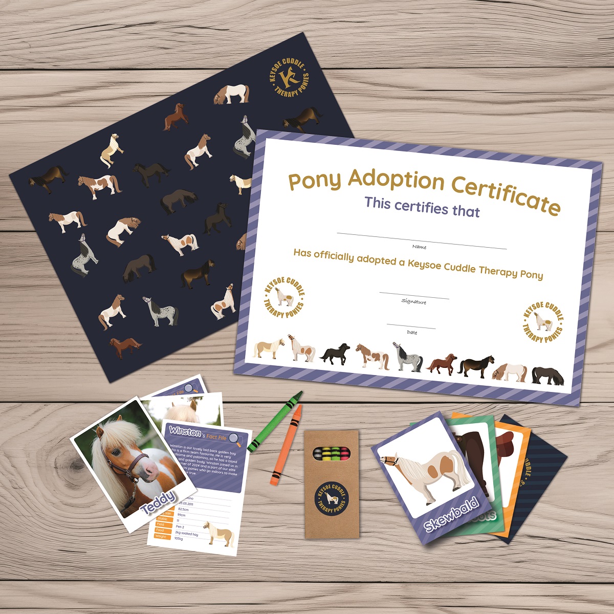 Keysoe Cuddle – Therapy Ponies